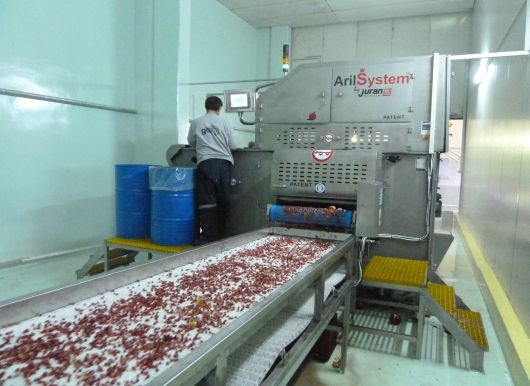 Aril Systems - efficient, hygienic and profitable method for accessing ...